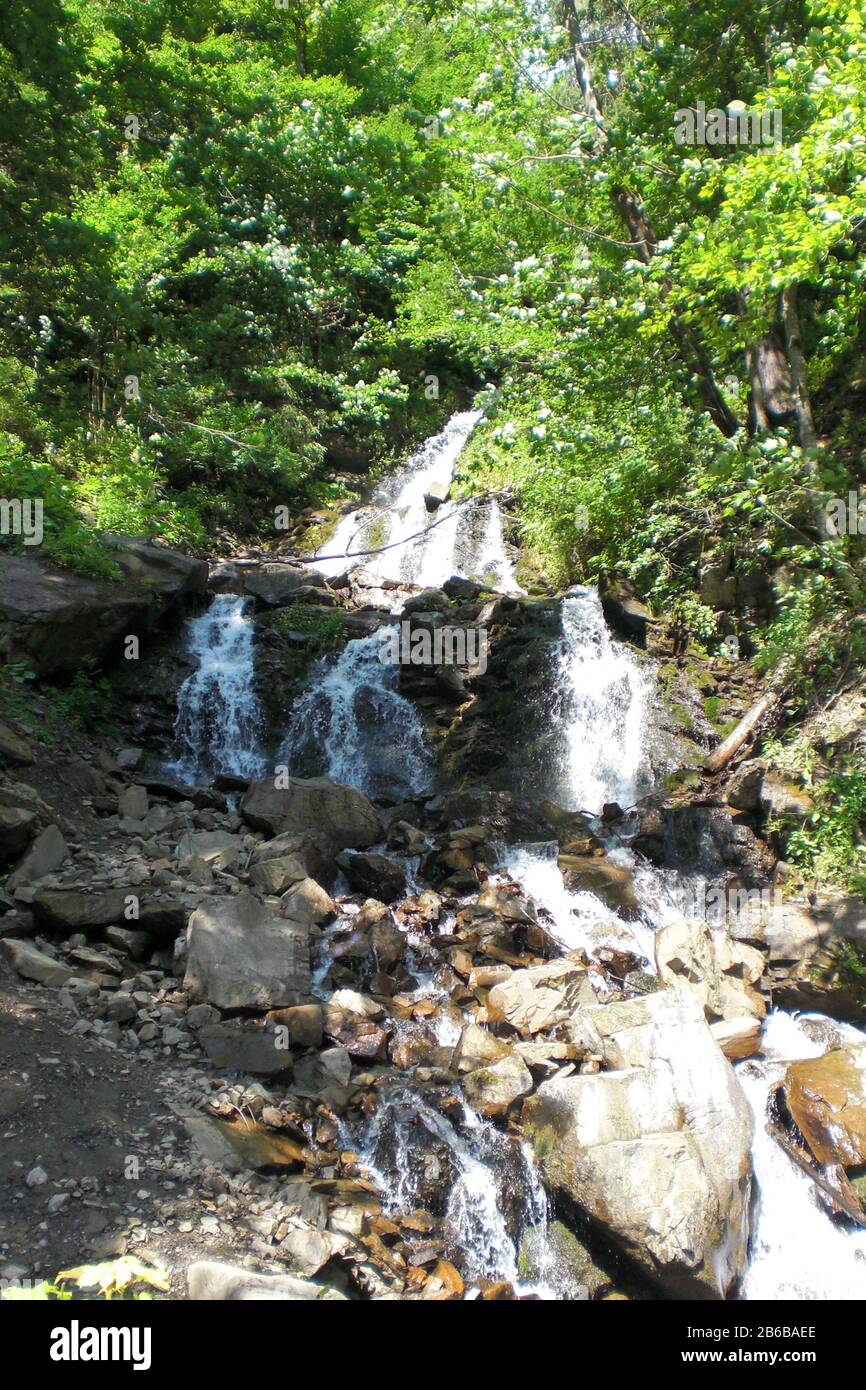 Mountain waterfall among the forest and trees Stock Photo - Alamy
