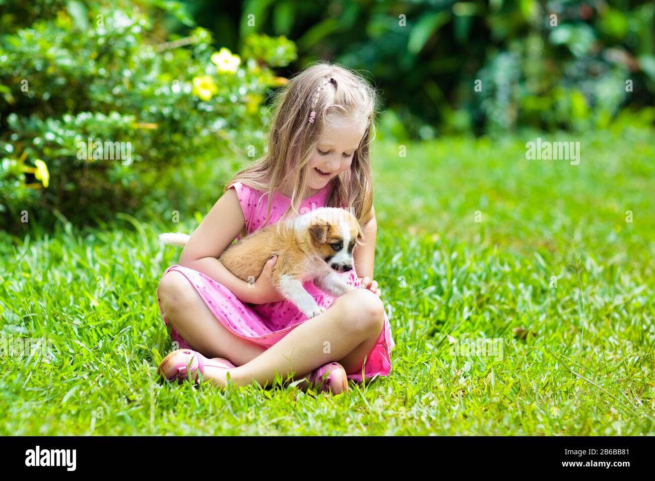 Kids play with cute little puppy. Children and baby dogs playing in ...