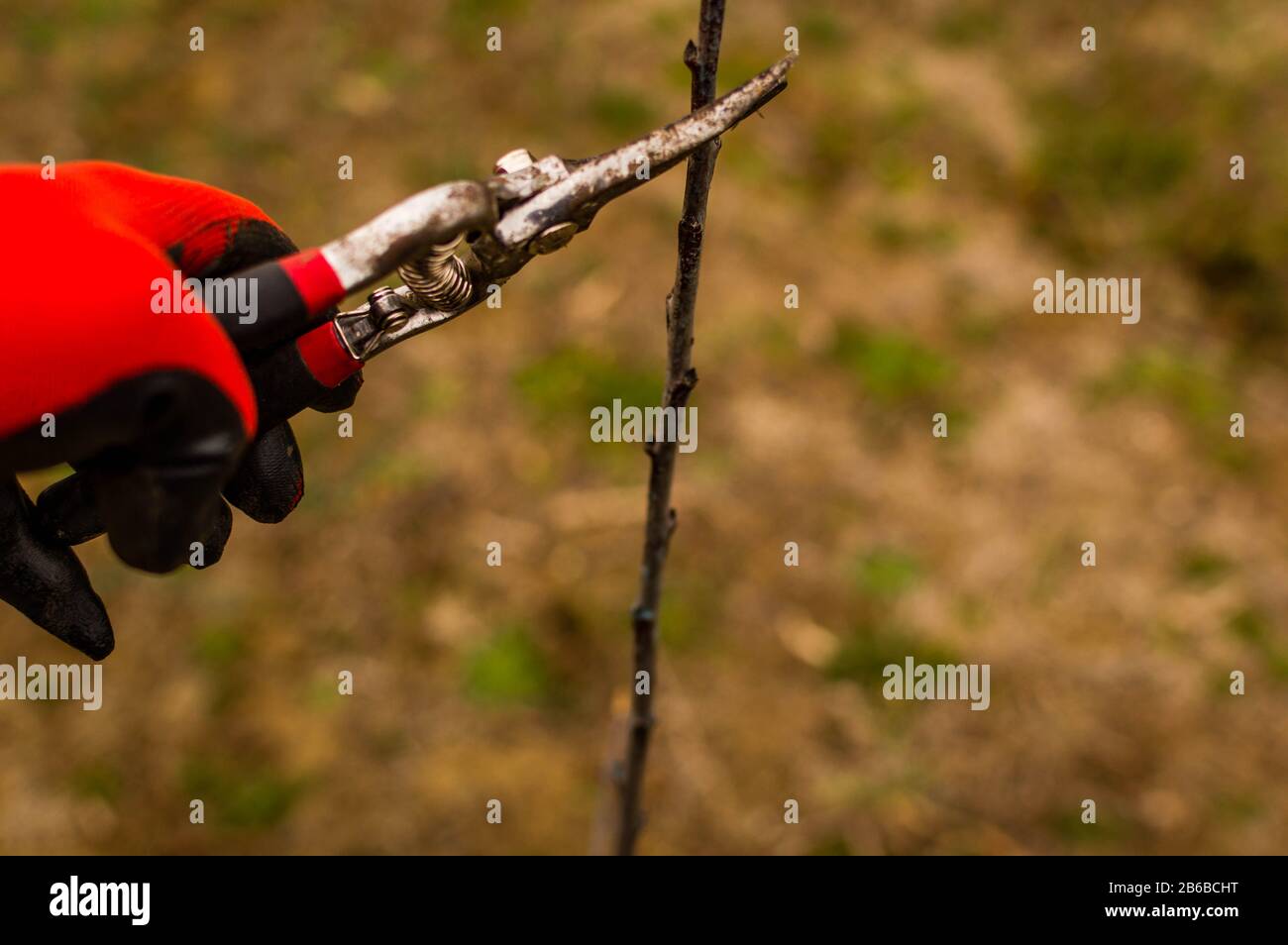 Girl taking care of her plant hi-res stock photography and images - Alamy