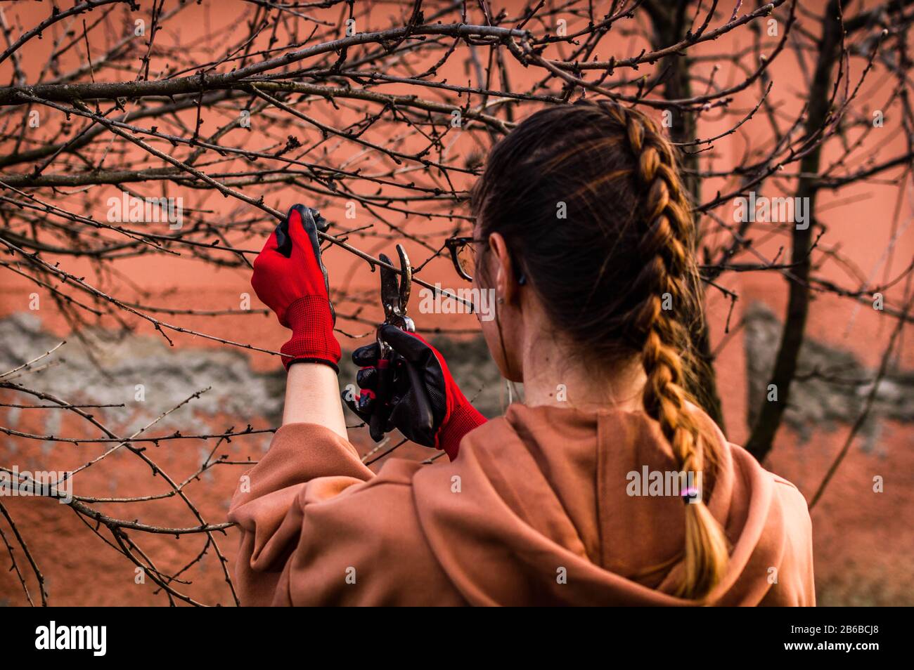 Care taking of tree - a young girl cleaning trees in spring Stock Photo ...