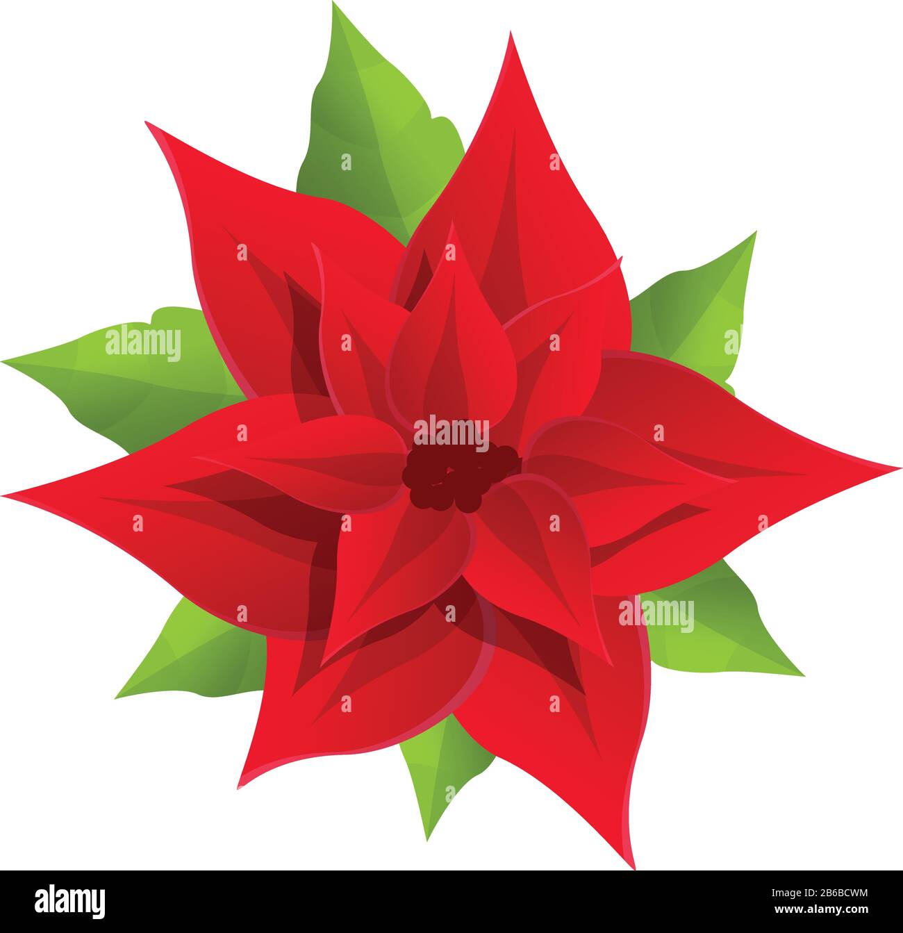 Decorative poinsettia icon. Cartoon of decorative poinsettia vector ...