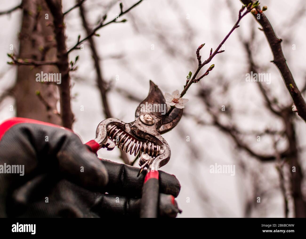 Taking care of nature hi-res stock photography and images - Alamy