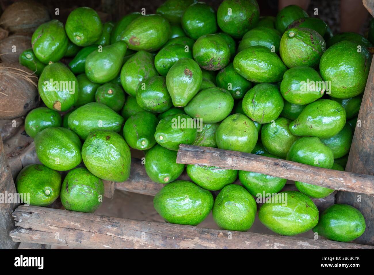 Green avocado stack at grocery on tropical marketplace outdoor,Samana ...