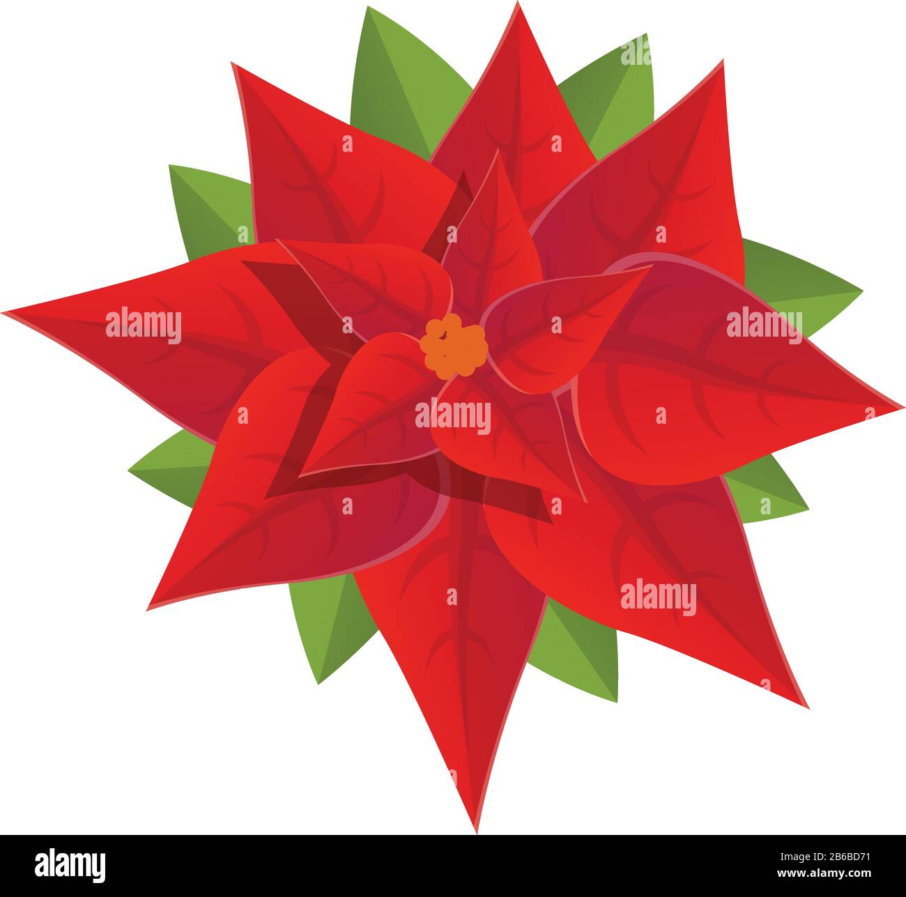 Poinsettia icon. Cartoon of poinsettia vector icon for web design ...