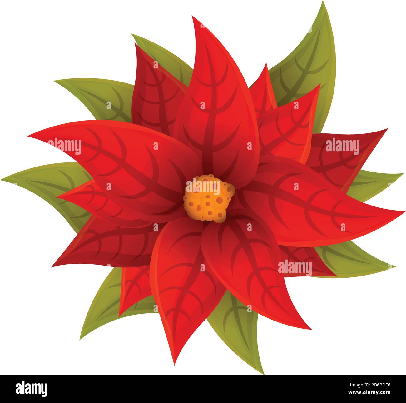 Beautiful poinsettia icon. Cartoon of beautiful poinsettia vector icon ...