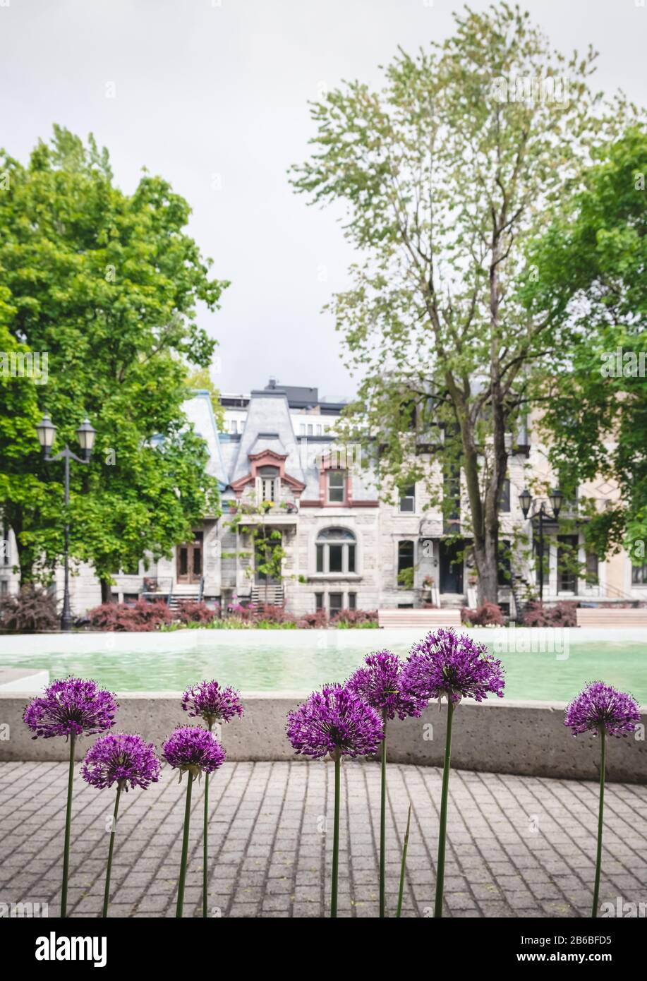 Montreal plateau hi-res stock photography and images - Alamy