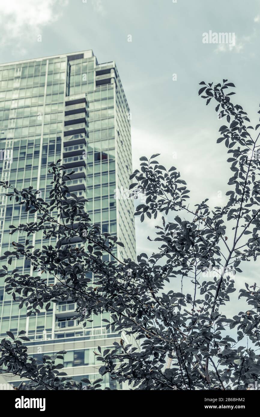 Teal colored modern building seen through the leaves. Downtown of ...