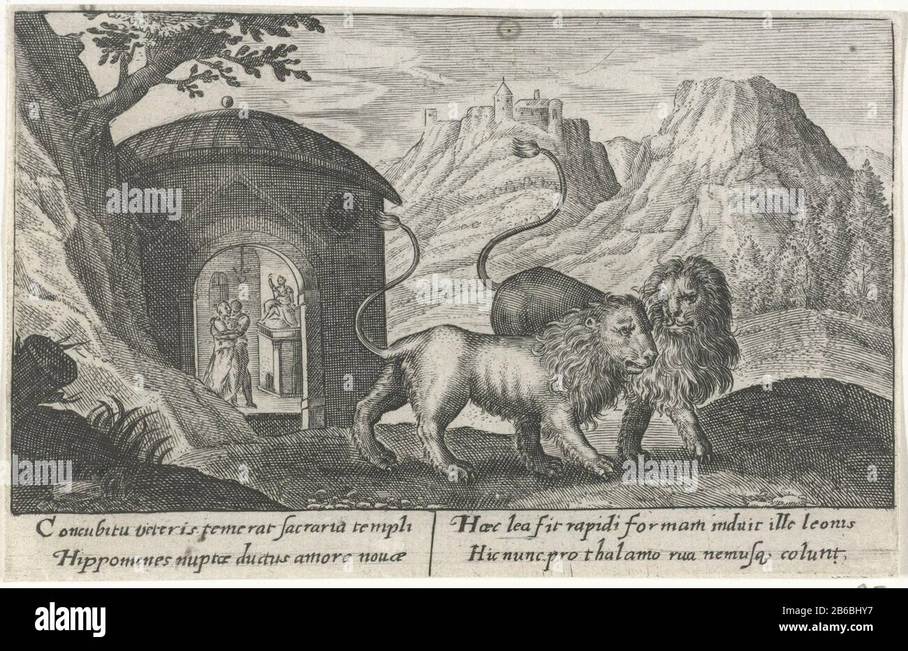 Atalanta hippomenes hi-res stock photography and images - Alamy