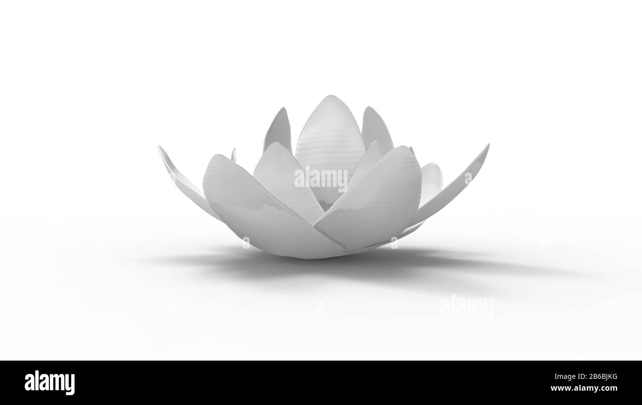 3D rendering of a lotus flower model nature isolated leaves pretty ...