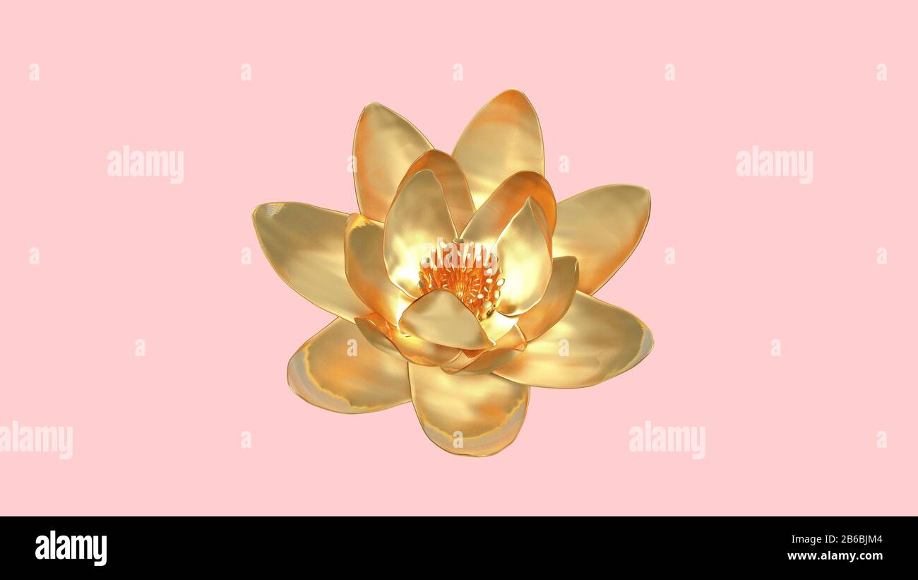 3D rendering of a lotus flower model nature isolated leaves pretty ...