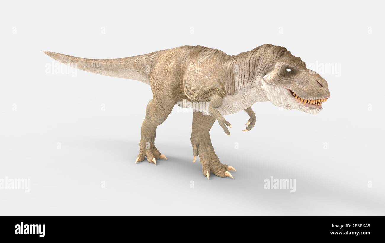 3D rendering of a T rex dinosaur isolated on white background empty ...