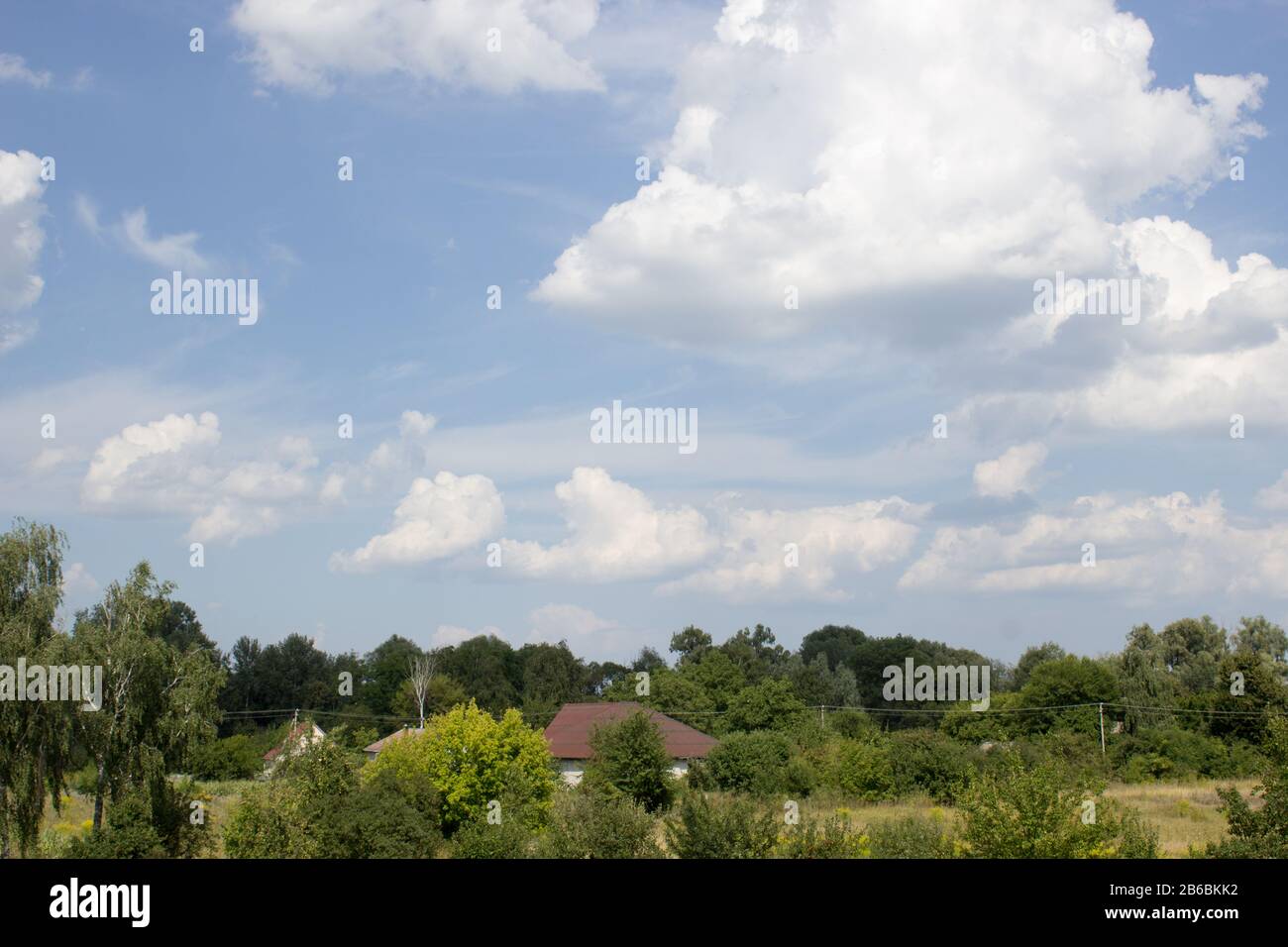 House among green trees, summer house concept Stock Photo - Alamy