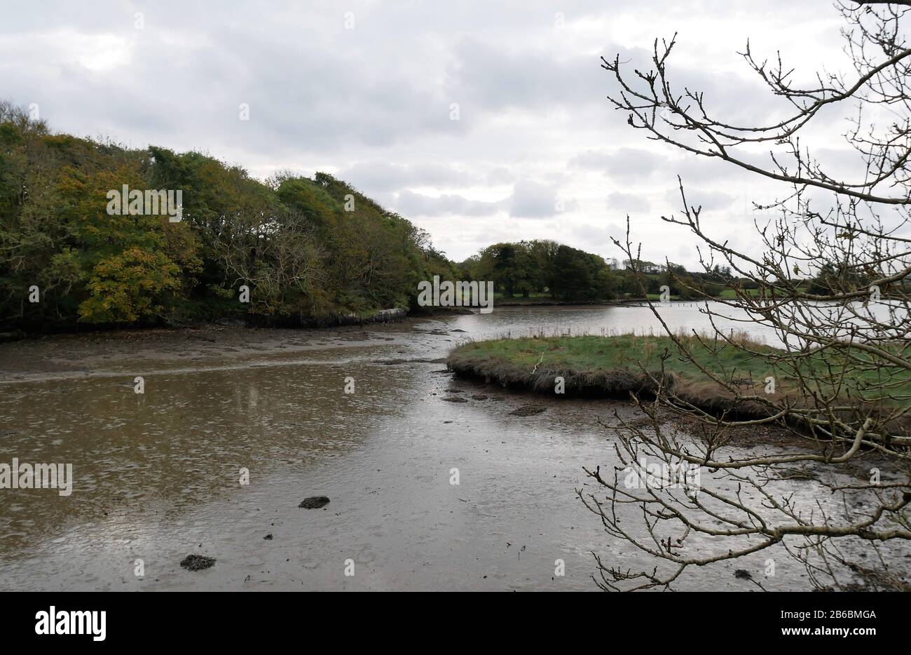Rural coastline, Country Cork, Ireland Stock Photo - Alamy