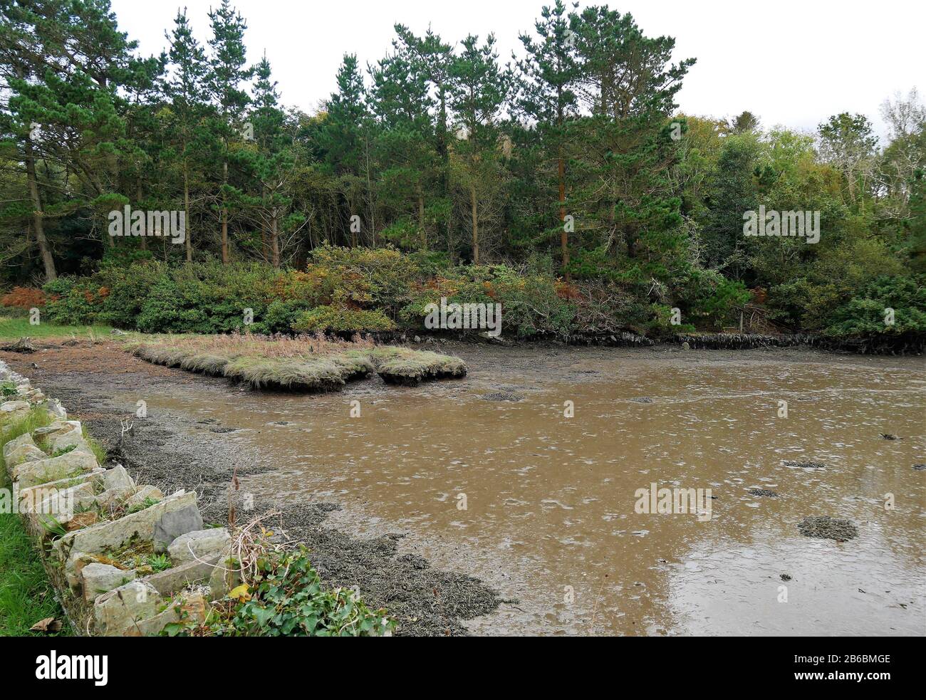 Rural coastline, Country Cork, Ireland Stock Photo - Alamy