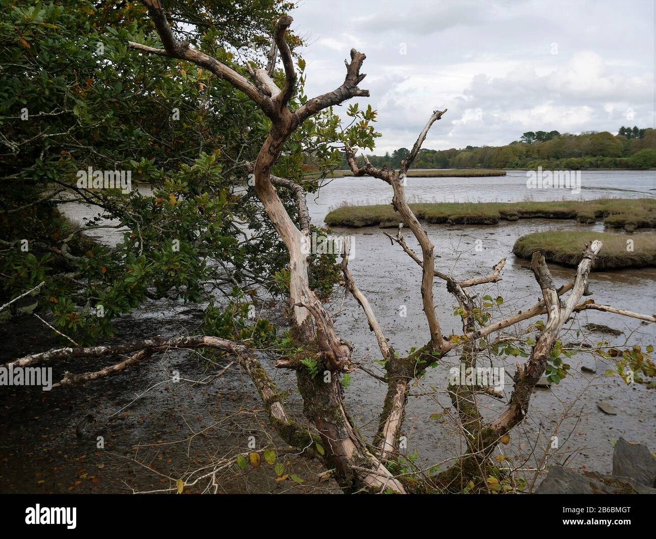 Rural coastline, Country Cork, Ireland Stock Photo - Alamy