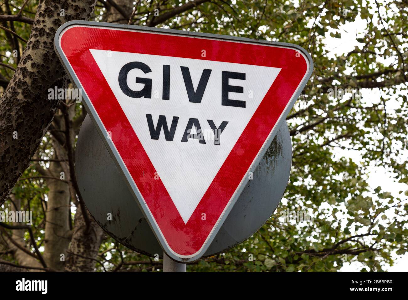 Close up of Give Way sign with trees in background in Birkenhead Wirral ...