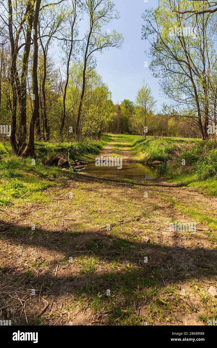 trail with ford, fresh springtime trees, meadow and clear sky above ...