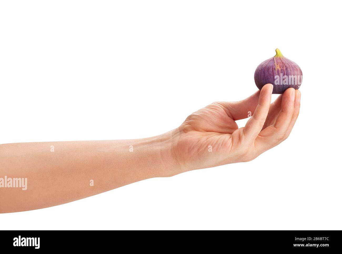 fig in hand path isolated on white Stock Photo - Alamy