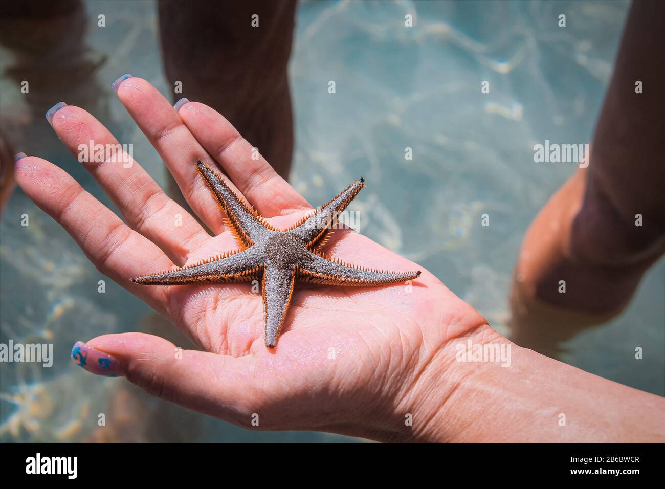 Woman star beach day hi-res stock photography and images - Alamy