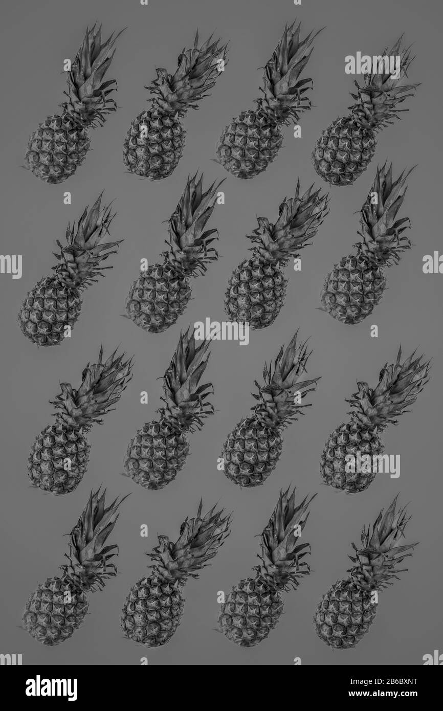 Summer seasonal food juicy Black and White Stock Photos & Images - Alamy