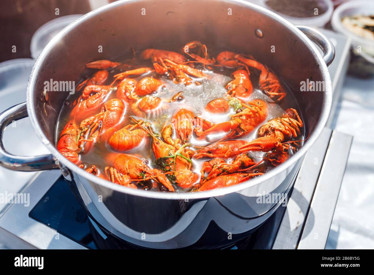 The cook prepares crawfish in boiling water in a pan Stock Photo - Alamy