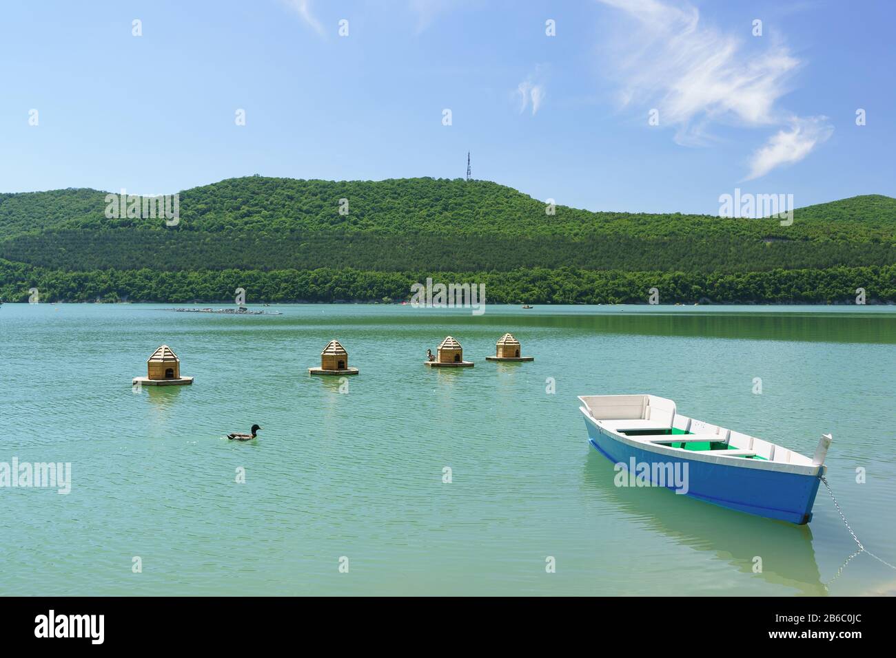 Bright blue empty rowing boat and duck houses on the green water of the ...