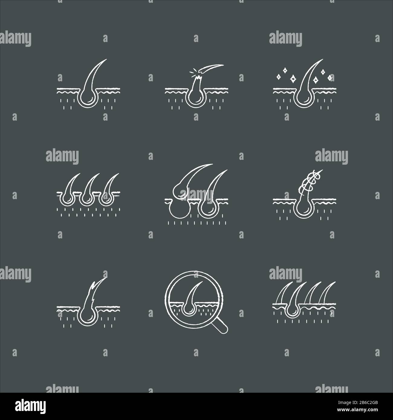 Microscopic roots Stock Vector Images - Alamy