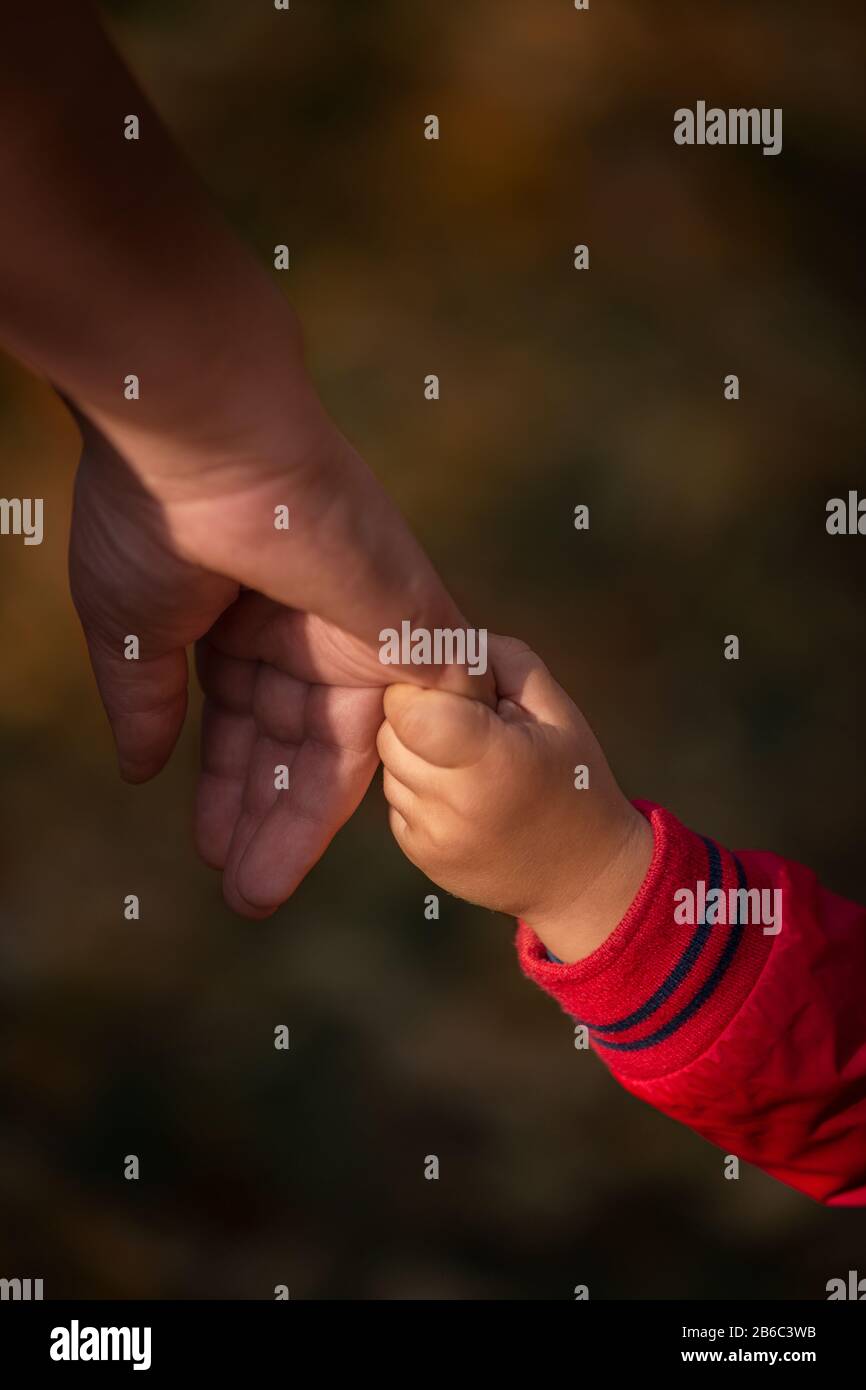 Baby hand gently holding adult mother finger Stock Photo - Alamy