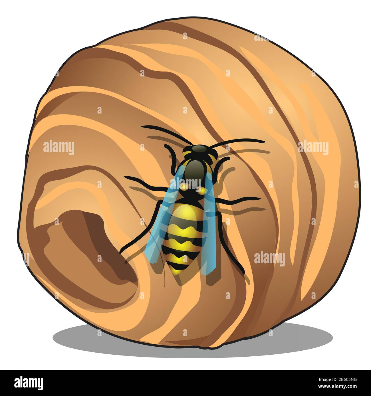 Hornet building nest Stock Vector Images - Alamy