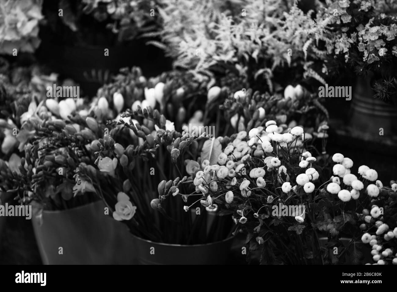 Summer mix flowers Black and White Stock Photos & Images - Alamy