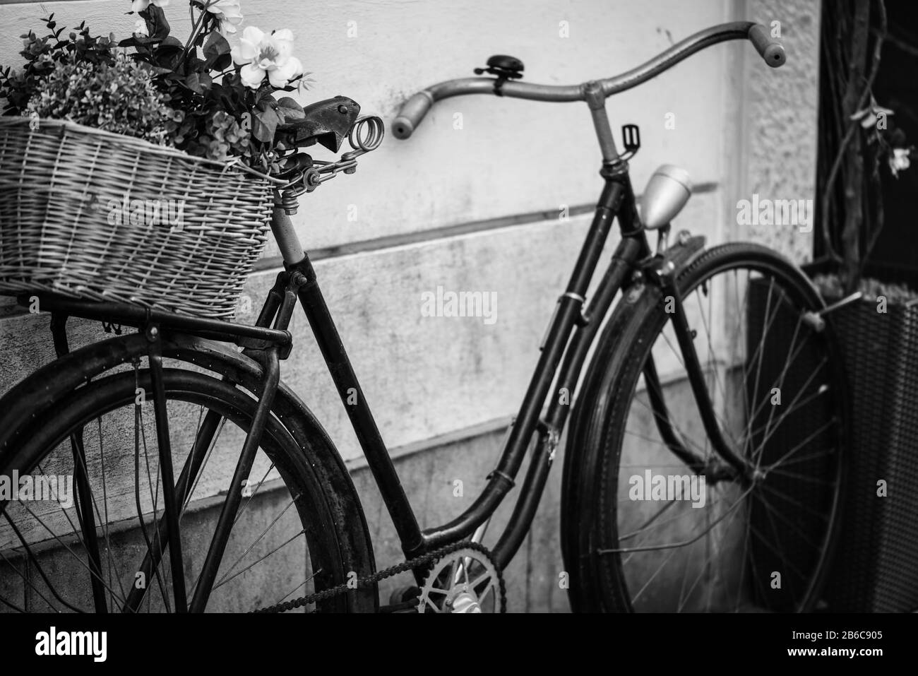 Orchids pink flowers Black and White Stock Photos & Images - Alamy