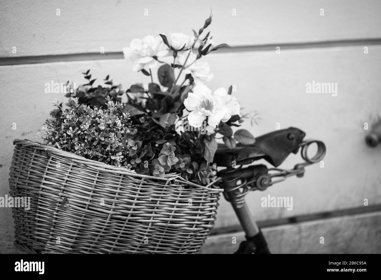 Orchids pink flowers Black and White Stock Photos & Images - Alamy