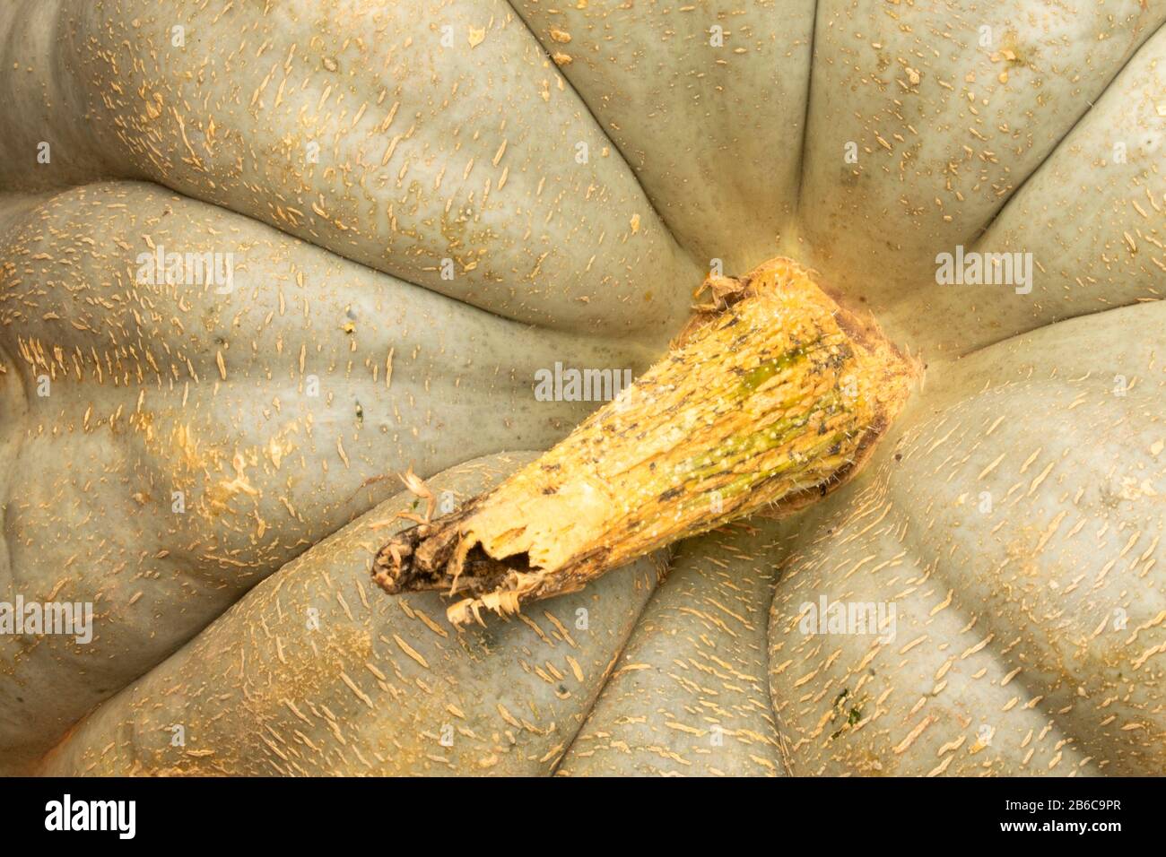 Grandpas fresh market hi-res stock photography and images - Alamy