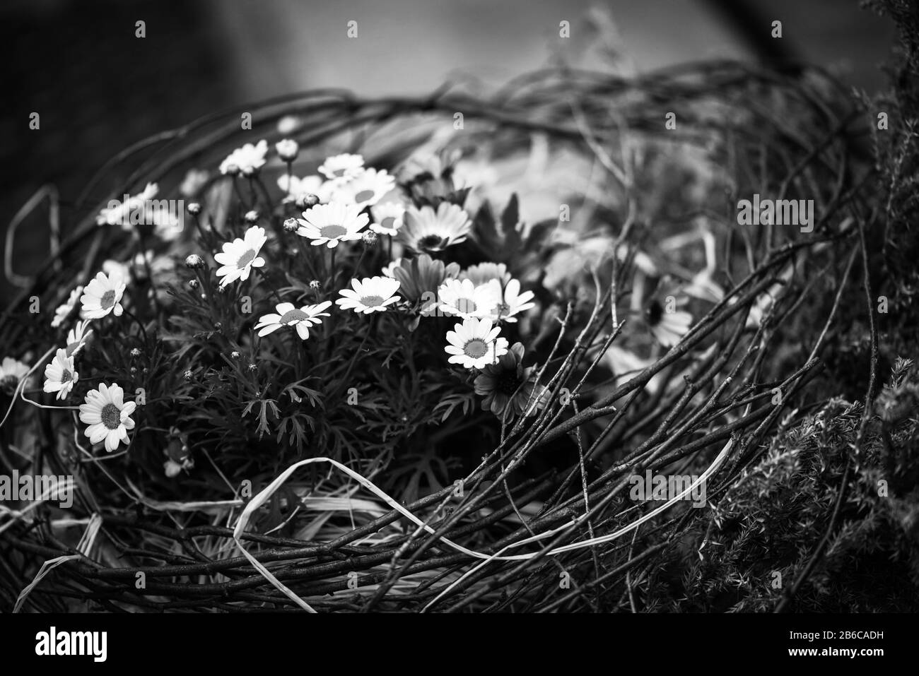 Mix flowers bouquet Black and White Stock Photos & Images - Alamy