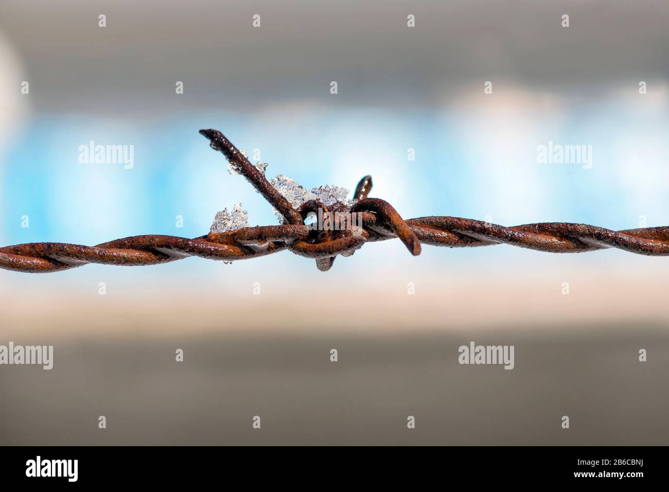 Barbed wire cage hi-res stock photography and images - Alamy
