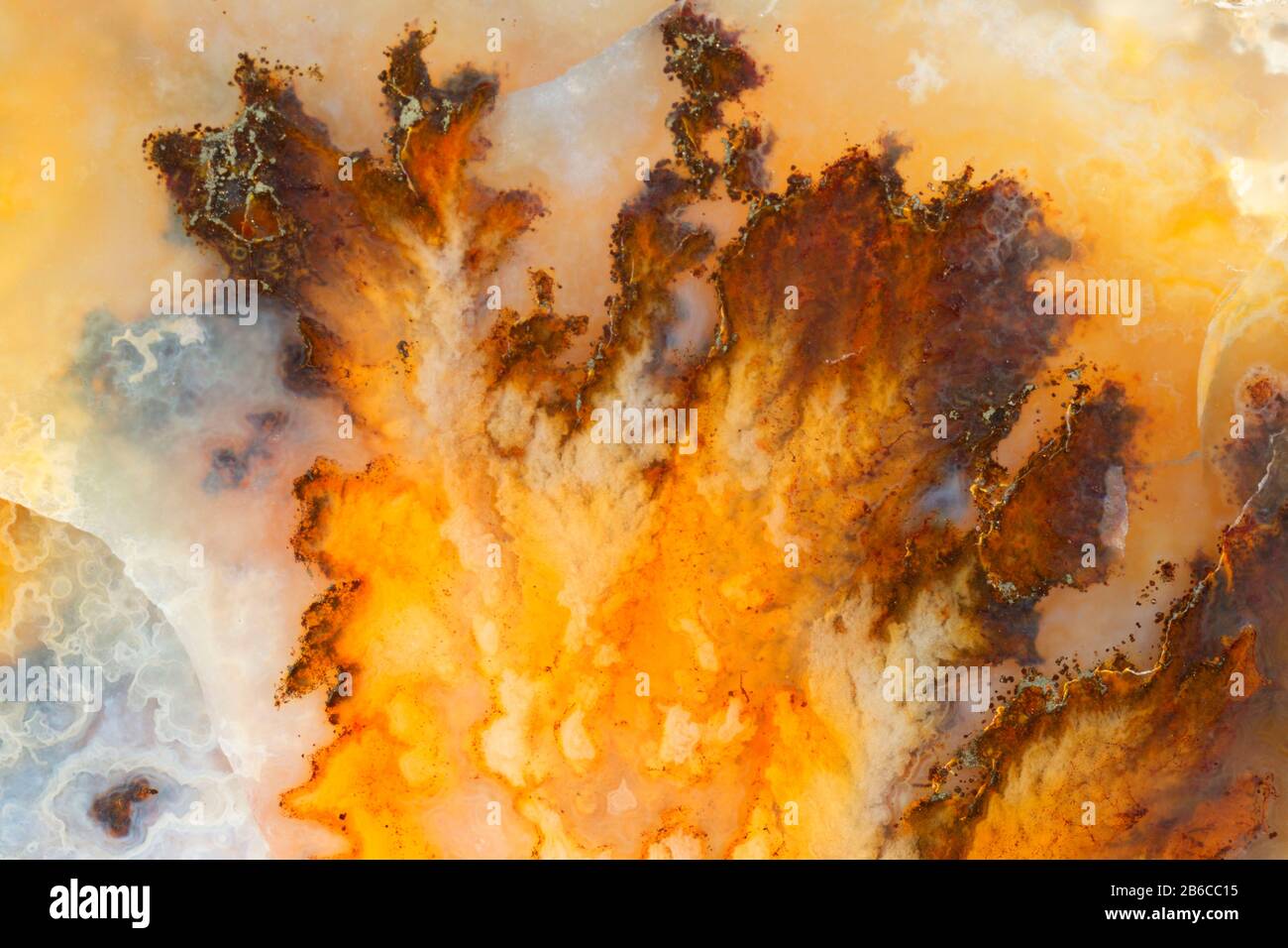 Graveyard plume agate hi-res stock photography and images - Alamy