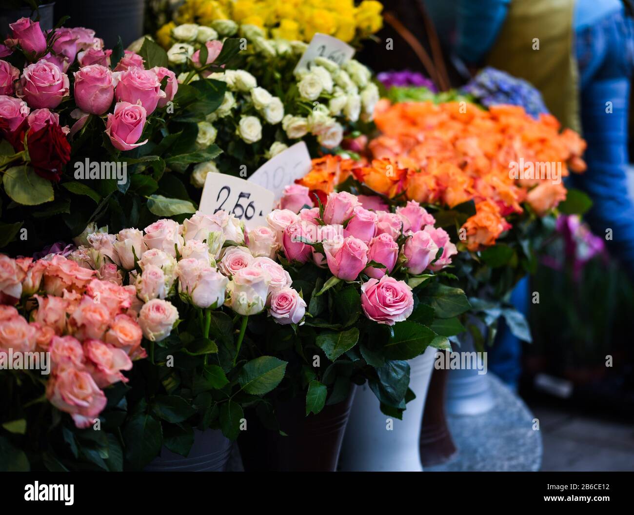 natural roses close up view Stock Photo - Alamy