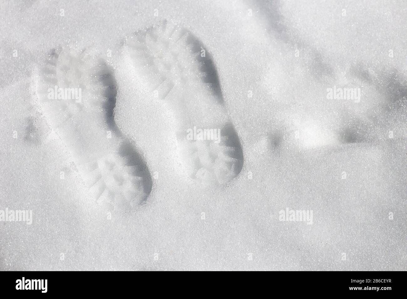 Big foot footprint hi-res stock photography and images - Alamy