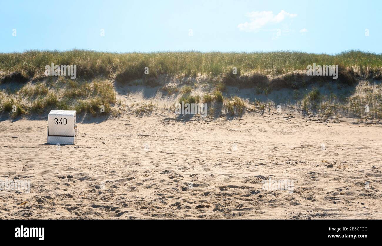 Beach landscape on Sylt island, with grassy dunes and single beach ...