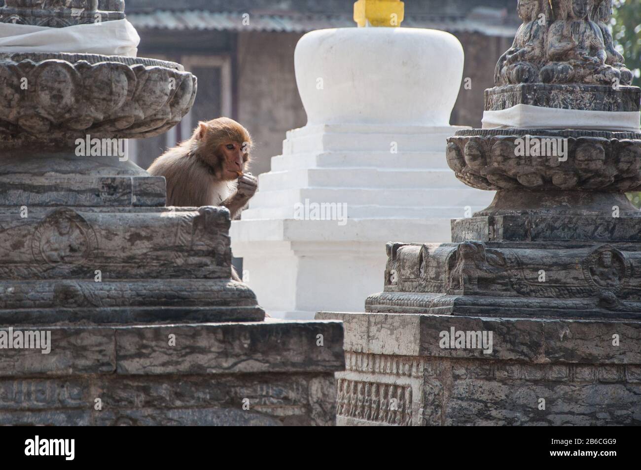 Kathmandu temple mountains hi-res stock photography and images - Alamy