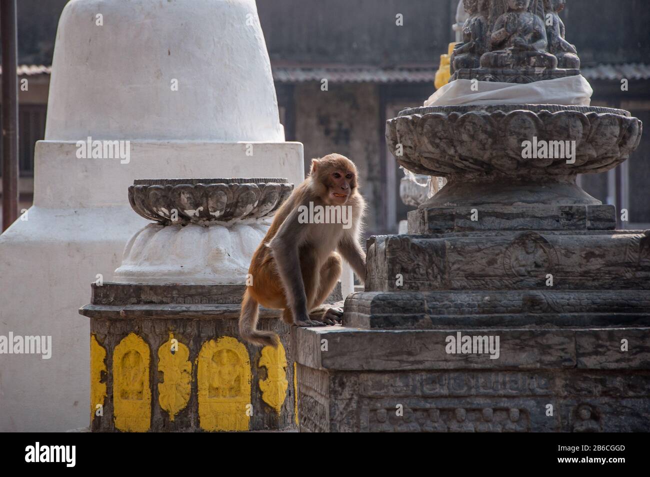 Kathmandu temple mountains hi-res stock photography and images - Alamy