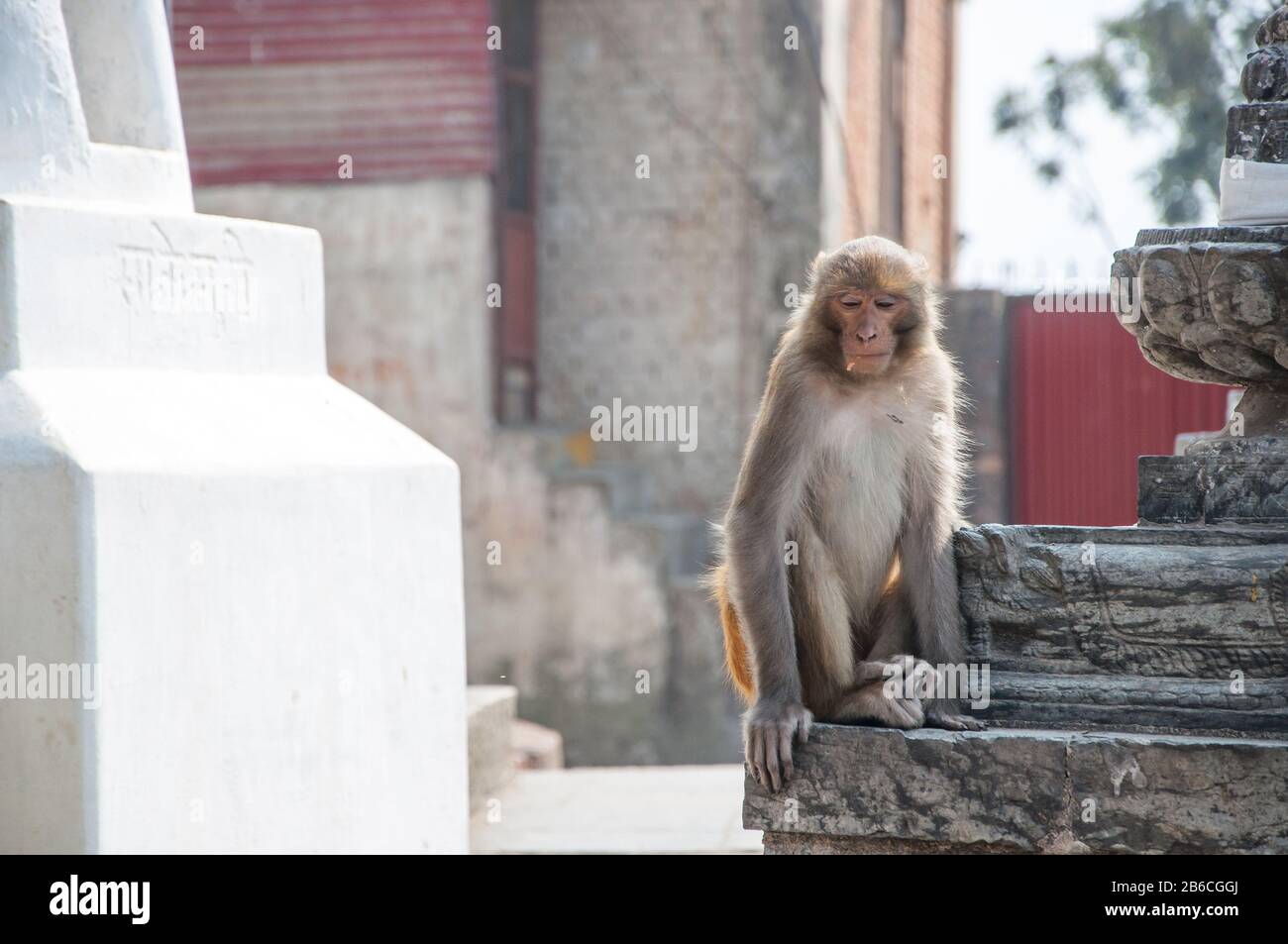 Asd aeers hi-res stock photography and images - Alamy