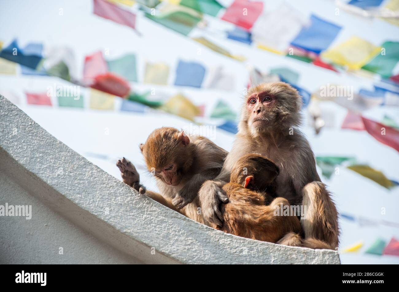 Kathmandu temple mountains hi-res stock photography and images - Alamy