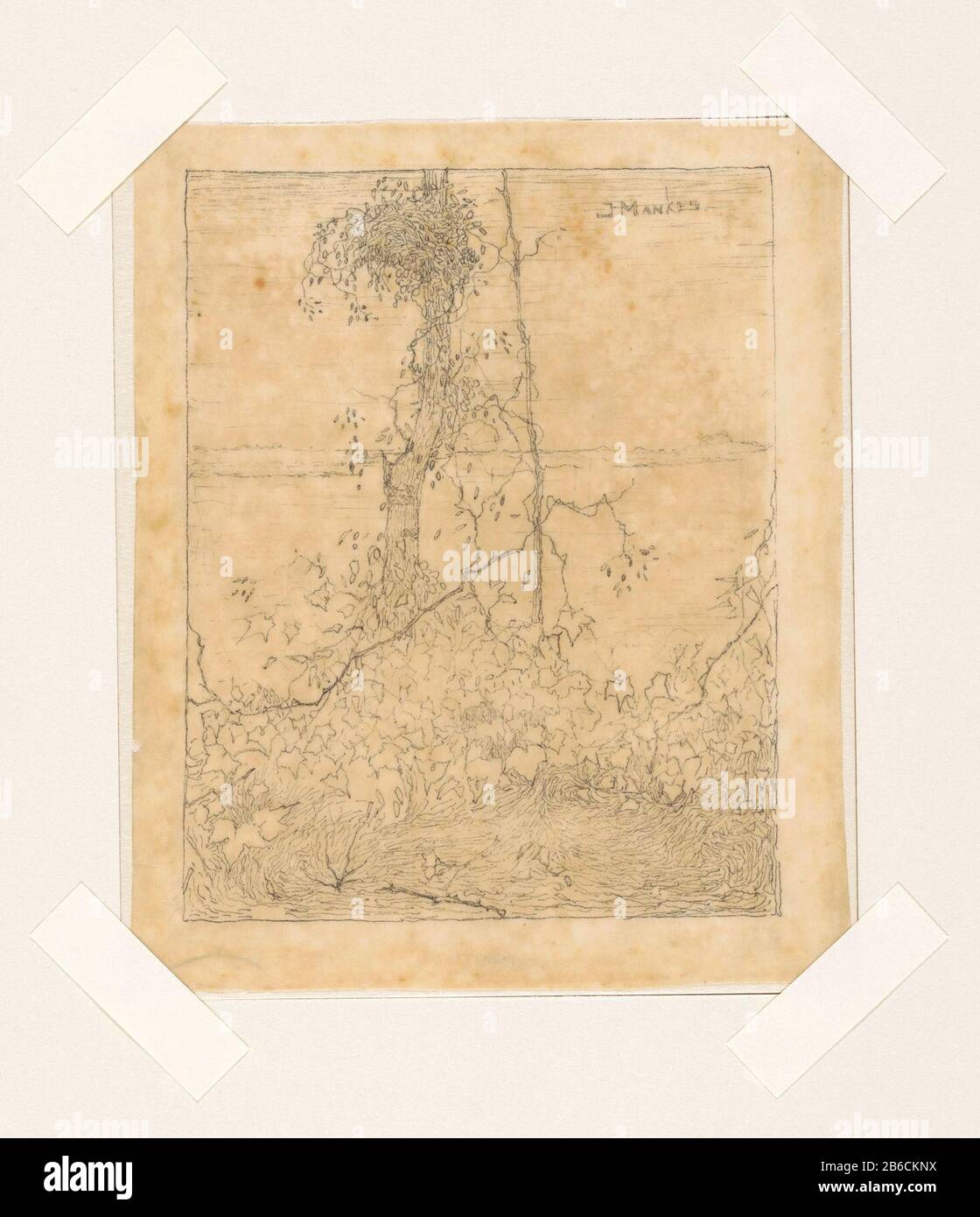 Overgrown tree trunk Bushy trunk object type: drawing Object number: RP ...