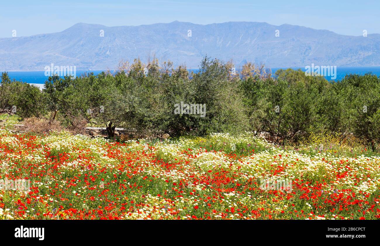 Cretan landscape hi-res stock photography and images - Alamy