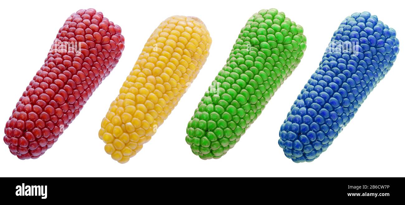 Genetically Modified Maize