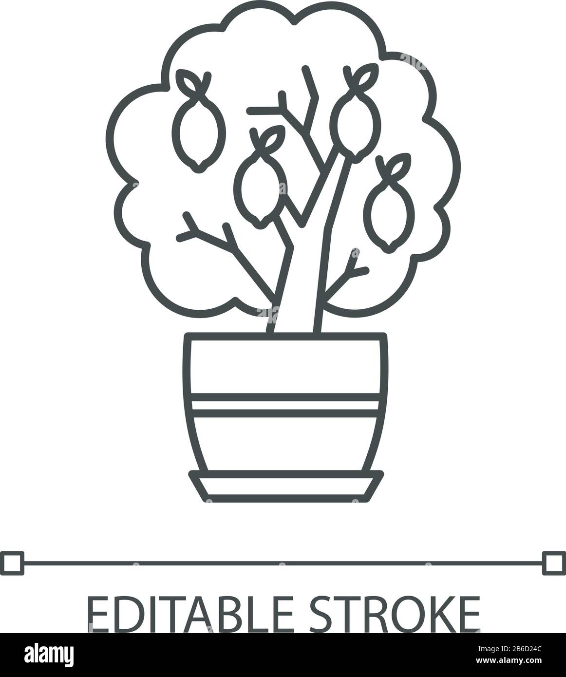 Domesticated fruit Black and White Stock Photos & Images - Alamy