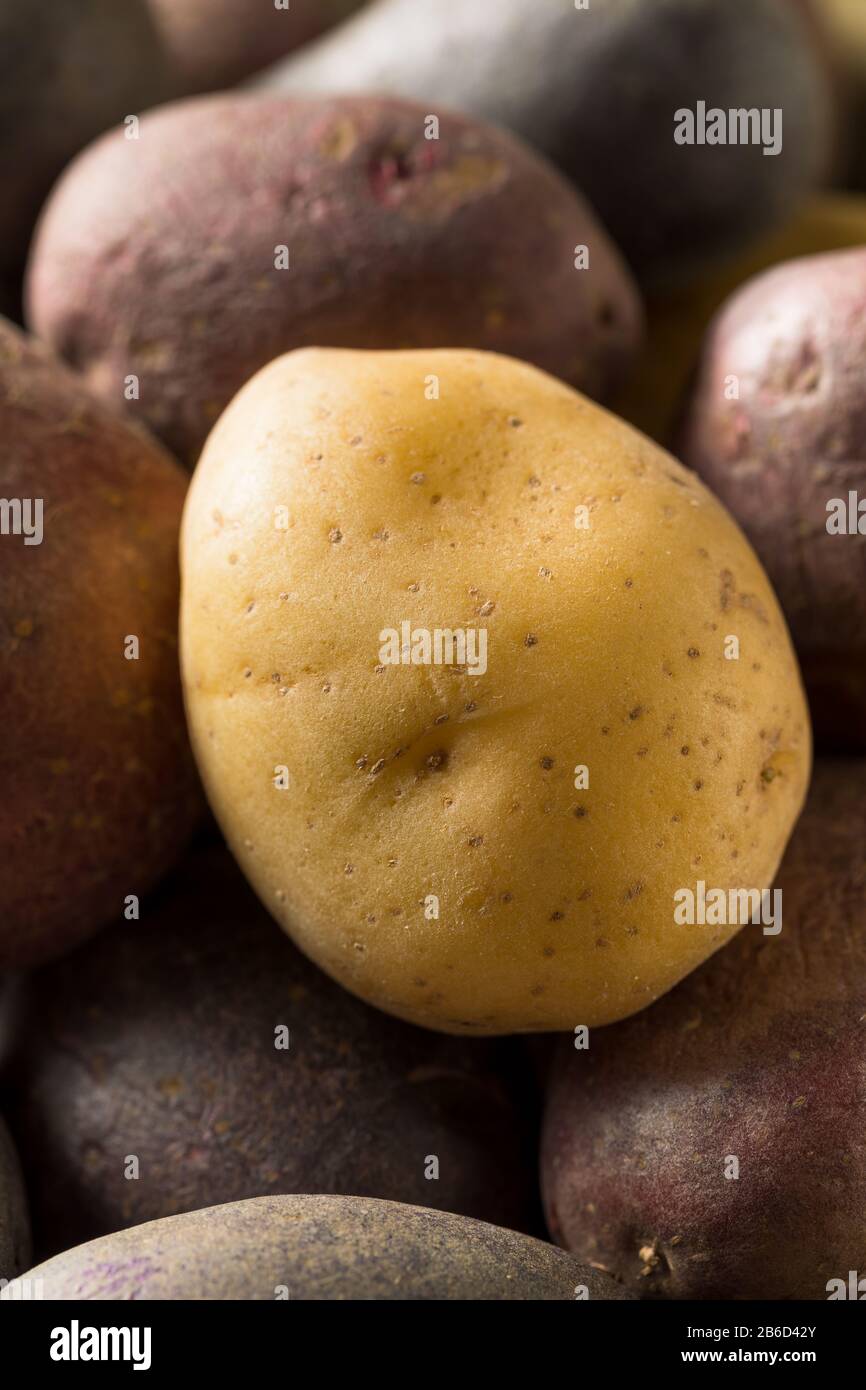 Cooked small new potatoes hi-res stock photography and images - Alamy