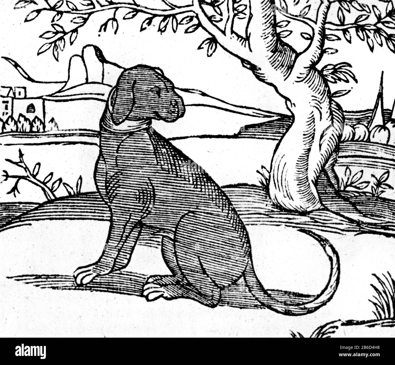 Turberville Black and White Stock Photos & Images - Alamy