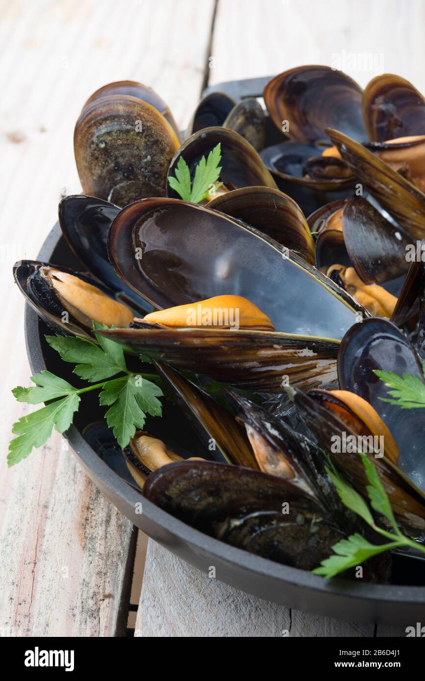 Mussel pic hi-res stock photography and images - Alamy